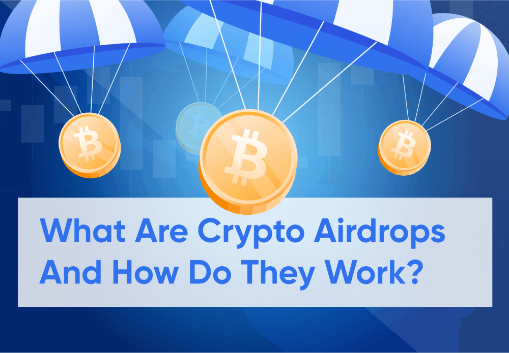 Top 10 cryptocurrencies of 2024 | BULB