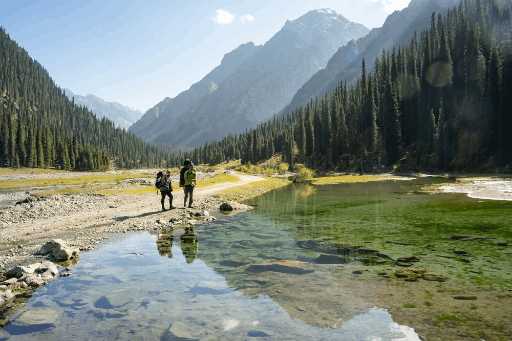 Code Evolution: The Intricacies of Software Development Life Cycle and ...