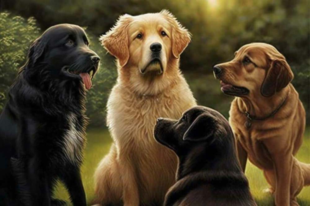 The Marvel Cinematic Universe: A Cultural Phenomenon Unleashed by the ...