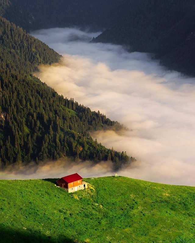 DESIGN FOR MANKIND | BULB